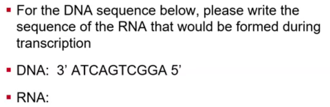 Solved For the DNA sequence below, please write the sequence | Chegg.com
