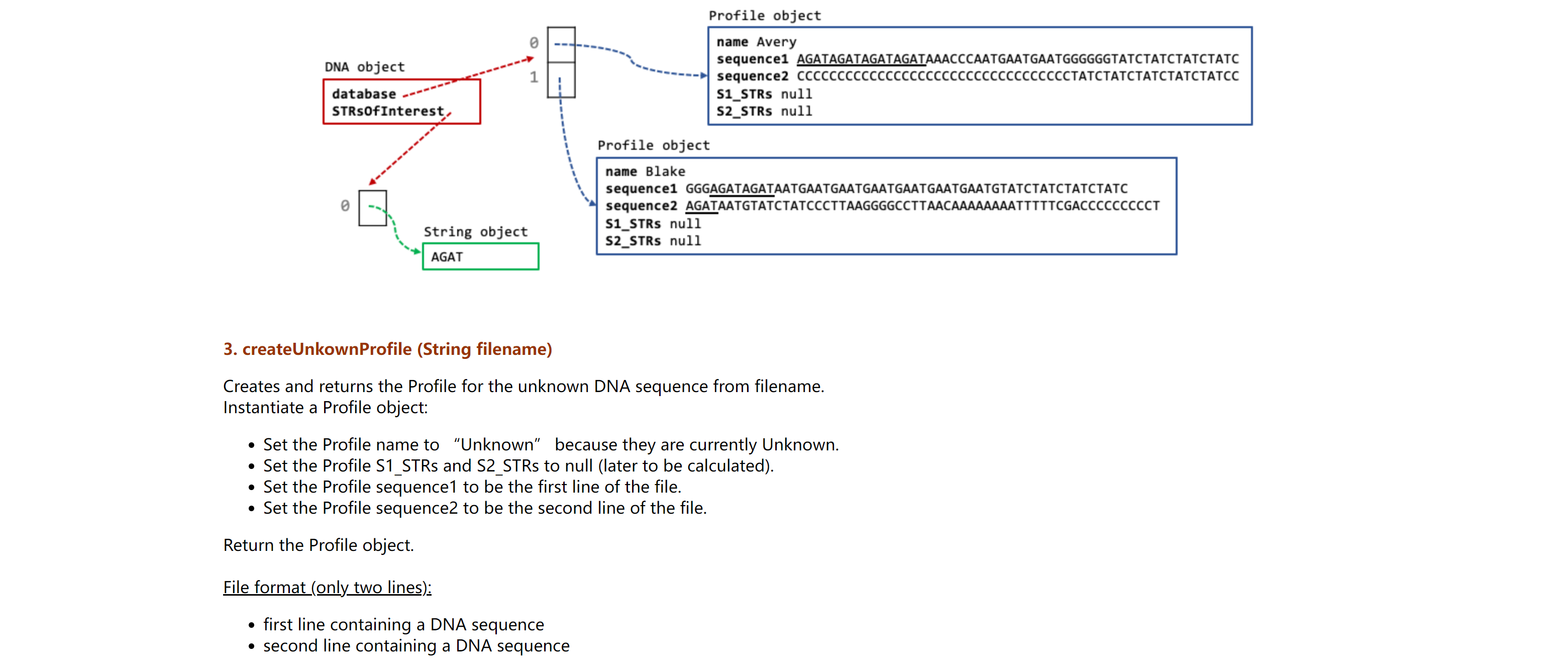 Solved DNA Overview DNA is the carrier of genetic | Chegg.com