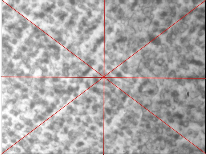Solved How do I put the number of intercept? and does it | Chegg.com