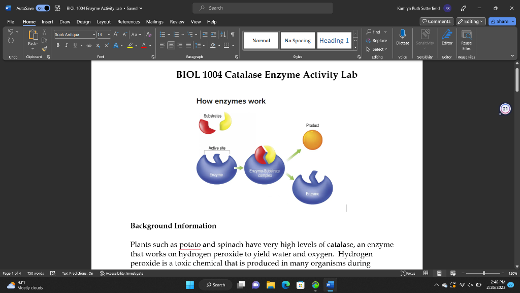 BIOL 1004 Catalase Enzyme Activity Lab How enzymes | Chegg.com