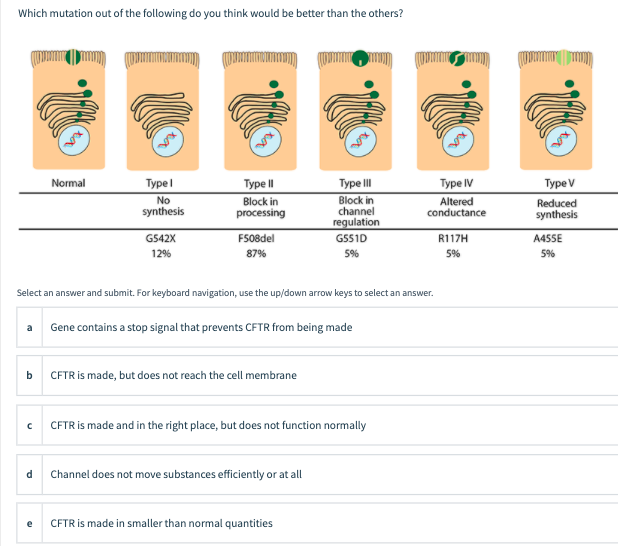 Solved Which mutation out of the following do you think | Chegg.com