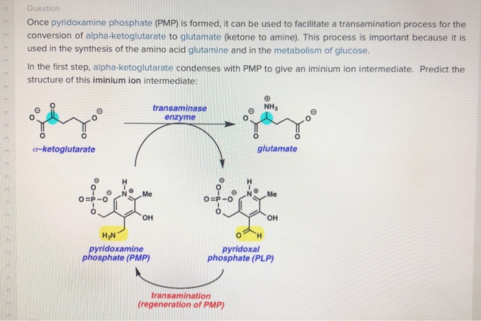 Solved Question Once pyridoxamine phosphate (PMP) is formed, | Chegg.com