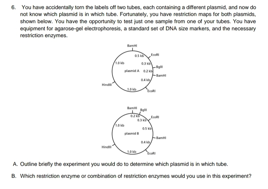 Solved You have accidentally torn the labels off two tubes, | Chegg.com