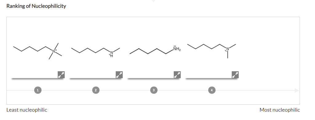 Solved Rank the following amines according to nucleophilic | Chegg.com