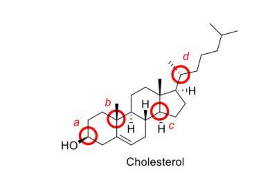 Solved Cholesterol is one of the important components of the | Chegg.com