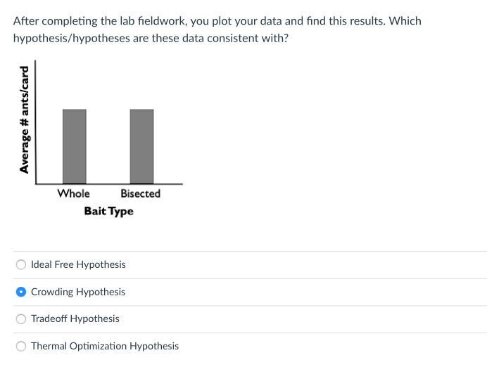 Solved After completing the lab fieldwork, you plot your | Chegg.com