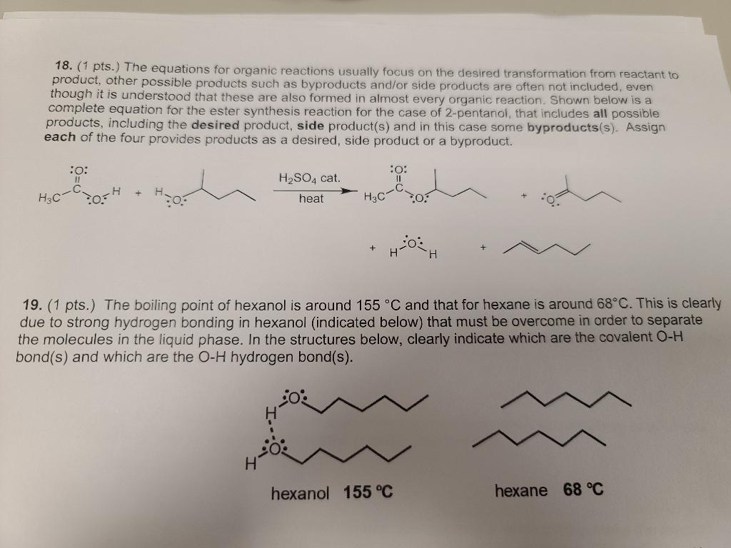 Solved If you could answer #19 that would be great, #18 has | Chegg.com