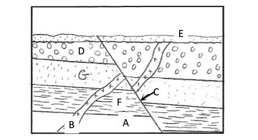 Solved - From OLDEST to YOUNGEST, list the NAME of each | Chegg.com