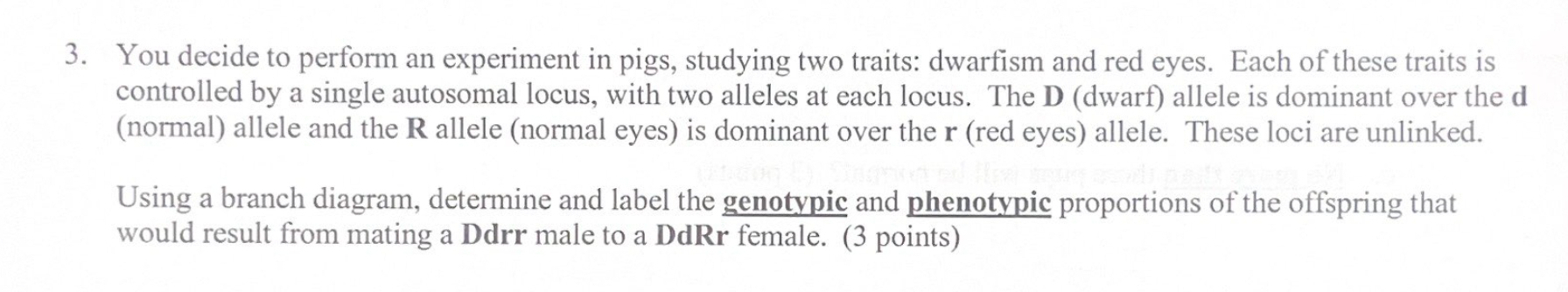 Solved You decide to perform an experiment in pigs, studying | Chegg.com