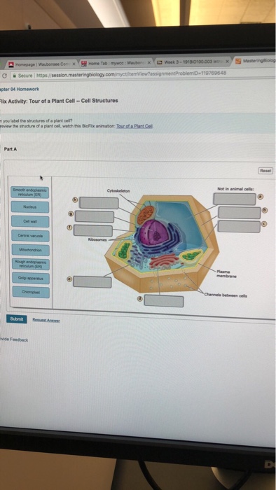 Solved 119769848 C Secure htps pter 04 Homework lix | Chegg.com