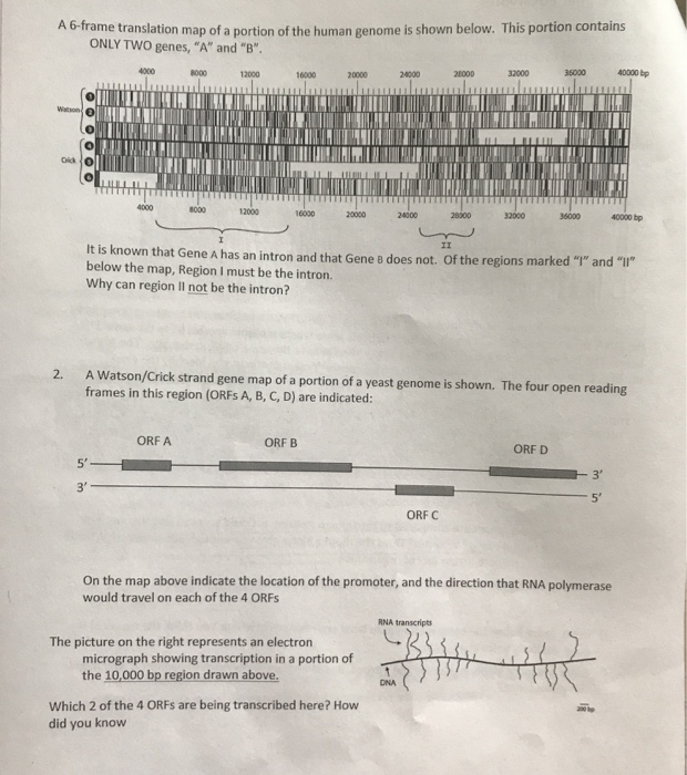Solved 12000 40000 by A 6-frame translation man Fame | Chegg.com