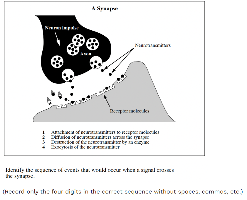 Solved 1 Attachment of neurotransmitters to receptor | Chegg.com
