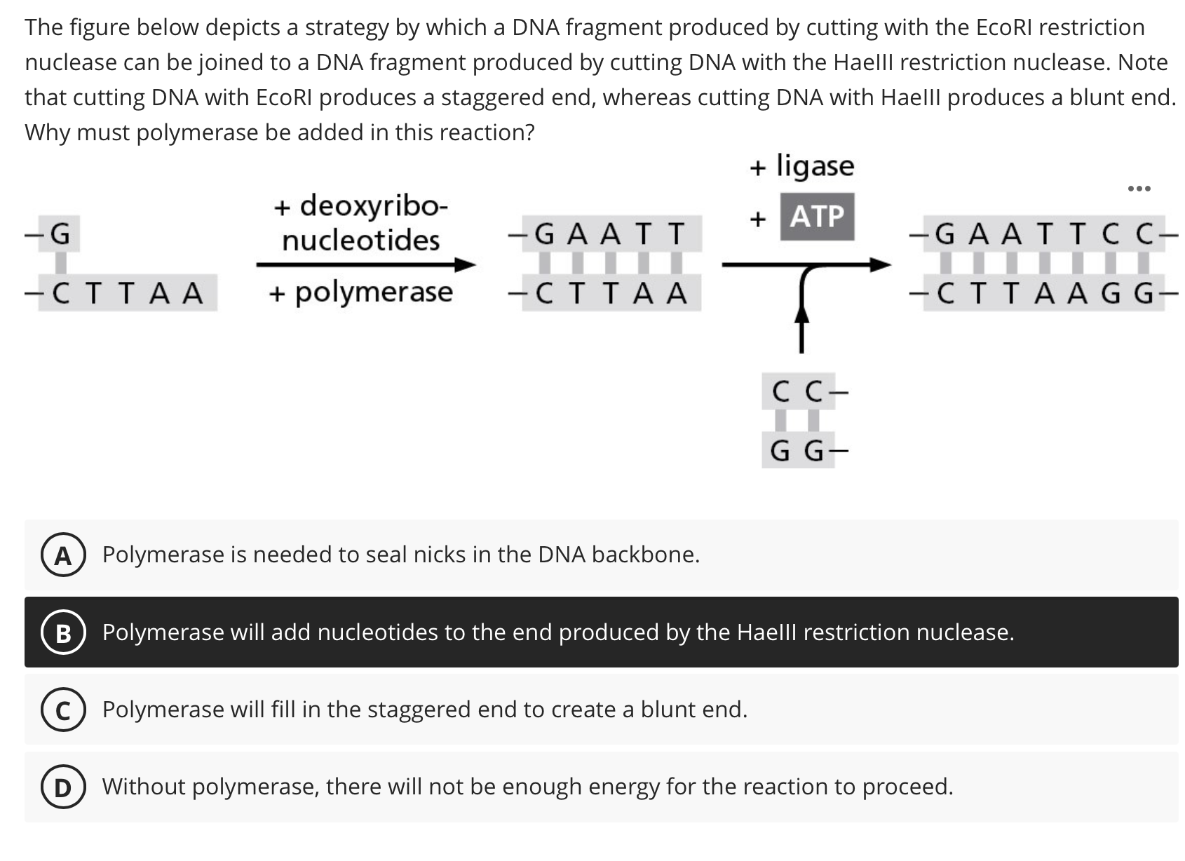 Solved The figure below depicts a strategy by which a DNA | Chegg.com