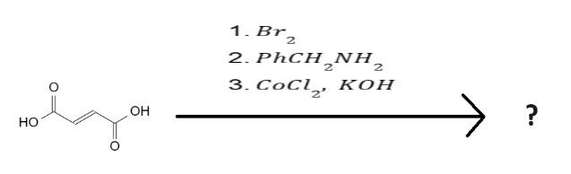 Solved 1. Br2 2. PhCH2NH2 3. CoCl2,KOH ? | Chegg.com