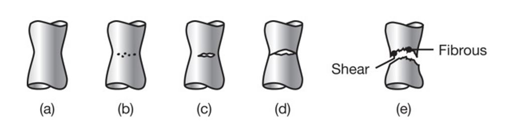 Solved Please describe the following events in necking and | Chegg.com