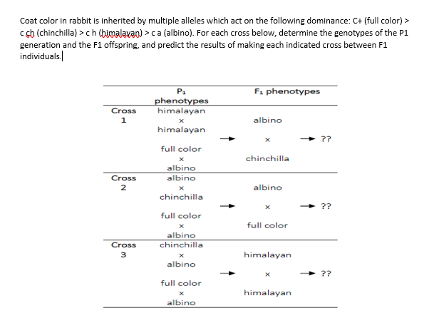 Solved Coat color in rabbit is inherited by multiple alleles | Chegg.com