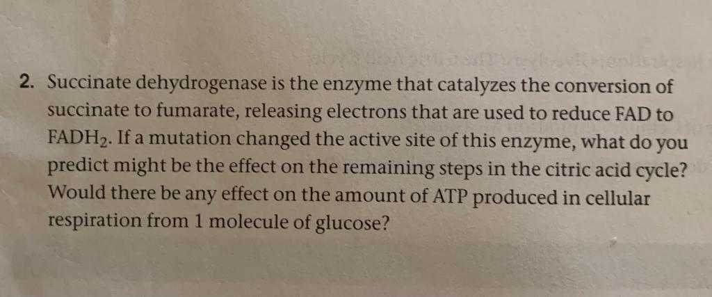 Solved 2. Succinate dehydrogenase is the enzyme that | Chegg.com