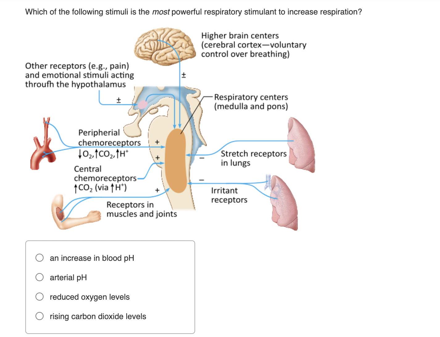 Solved Which of the following stimuli is the most powerful | Chegg.com