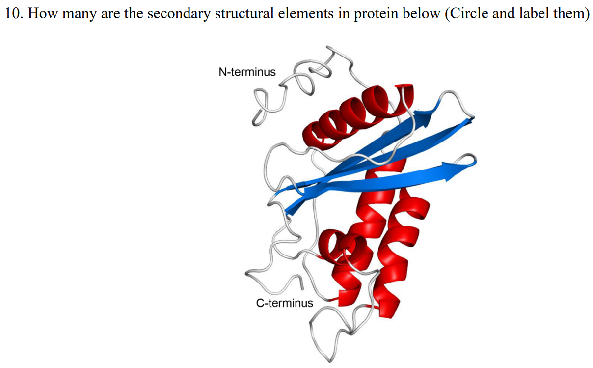 Solved 10. How many are the secondary structural elements in | Chegg.com