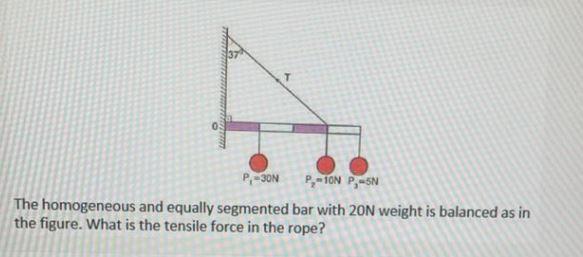 Solved The homogeneous and equally segmented bar with 20 N | Chegg.com