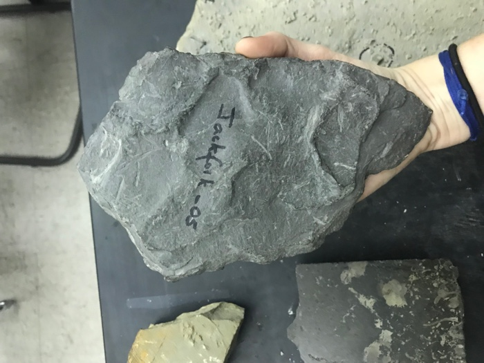 Solved There are 3 turbidite samples, jackfork 05, jackfork | Chegg.com