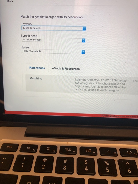 Solved Match the lymphatic organ with its description. | Chegg.com