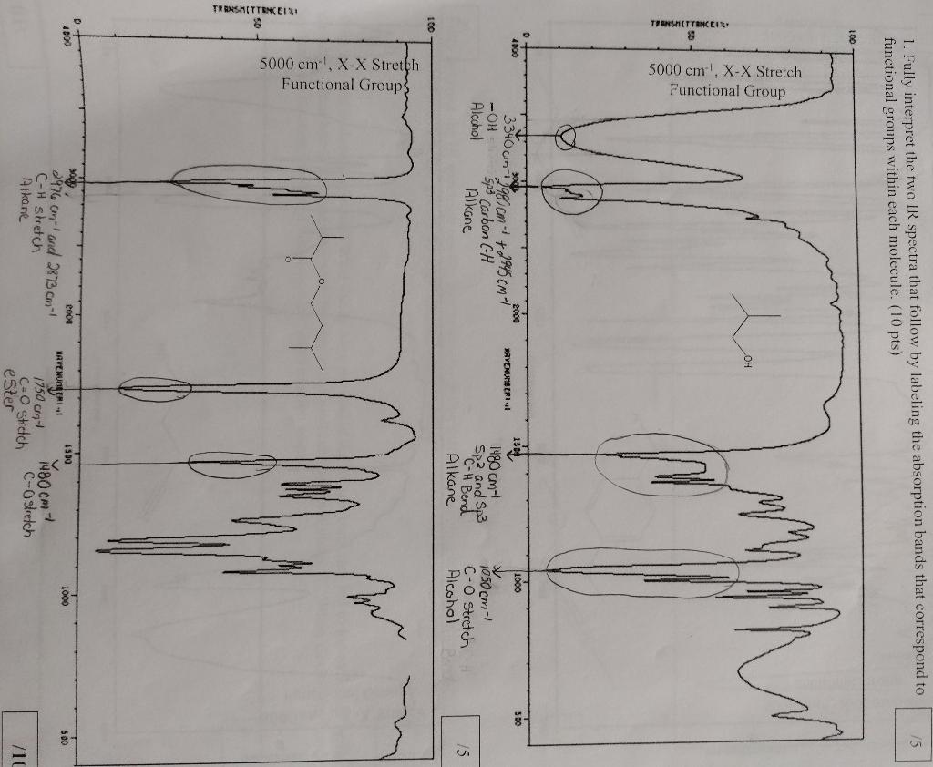 Solved 1. Fully interpret the two IR spectra that follow by | Chegg.com