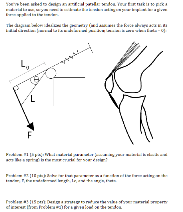 You've been asked to design an artificial patellar | Chegg.com