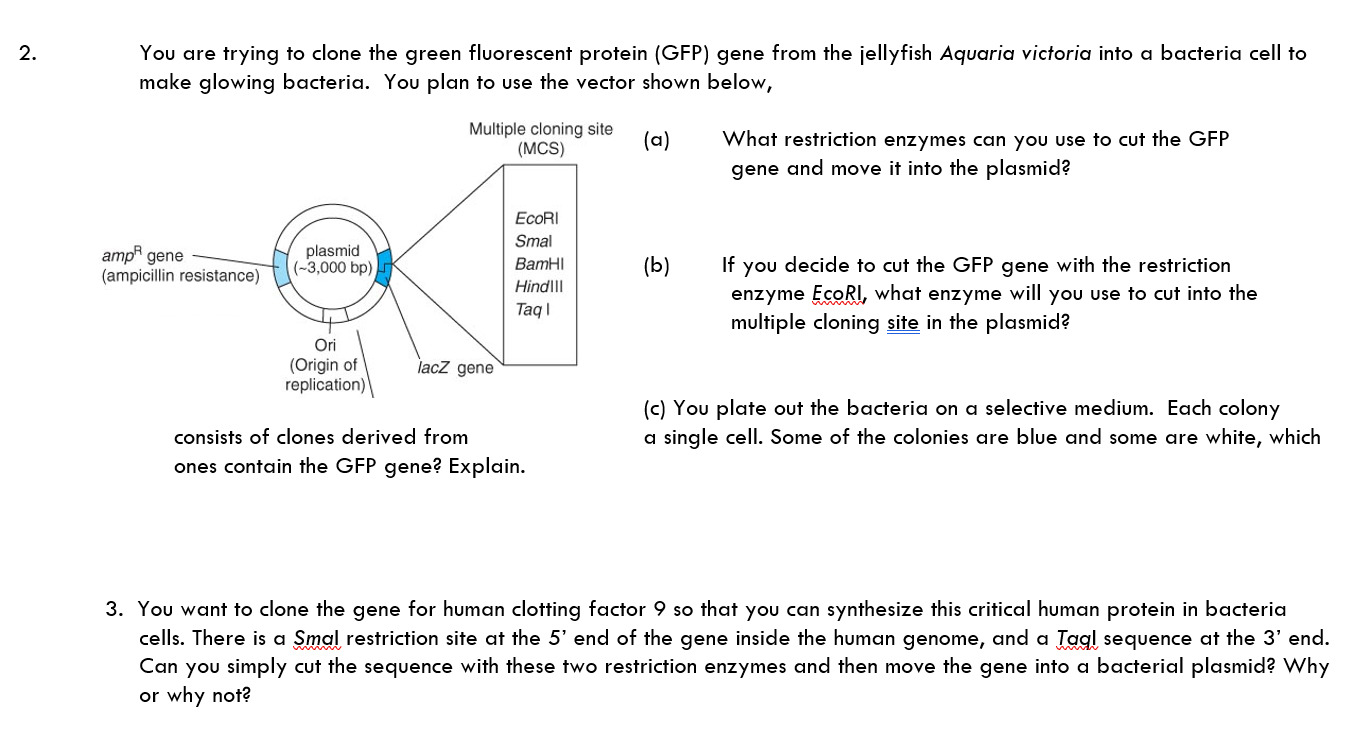Solved 2. You are trying to clone the green fluorescent | Chegg.com