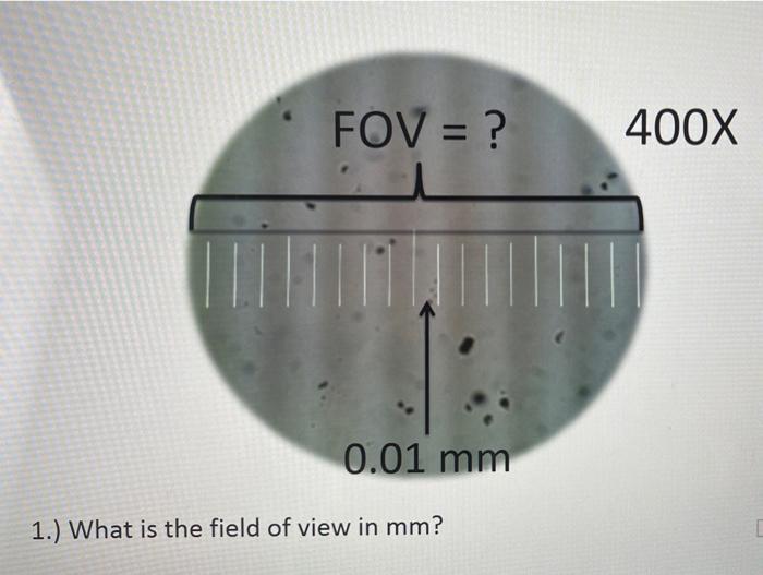 Solved FOV = ? = 400X 0.01 mm 1.) What is the field of view | Chegg.com