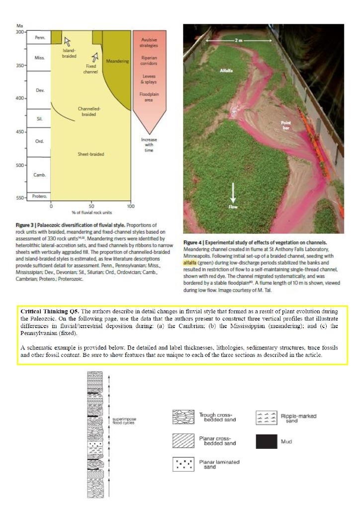 Fluvial style and plant evolution throughout the | Chegg.com