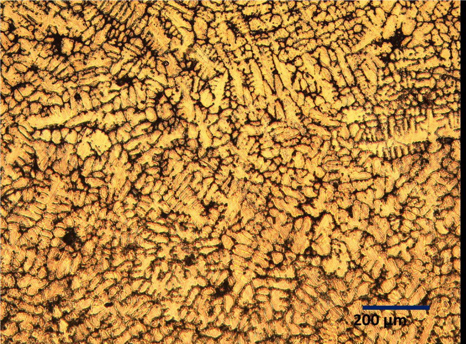 Solved Observe the grain structure of a cast Brass | Chegg.com