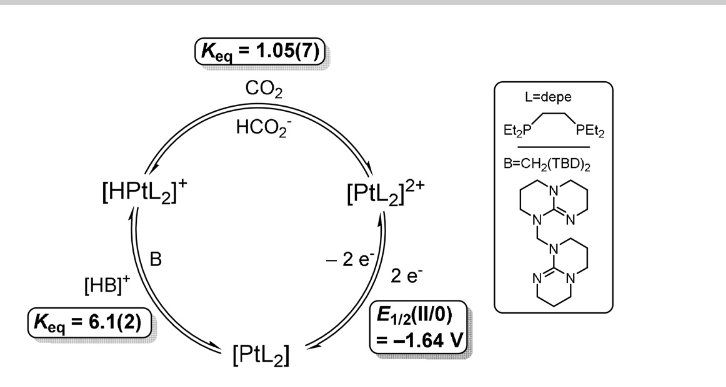 Solved Consider the PtL2 complex: How many ligands are bound | Chegg.com