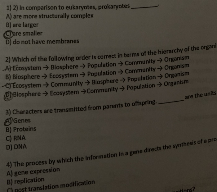 Solved 1) 2) In comparison to eukaryotes, prokaryotes A) are | Chegg.com