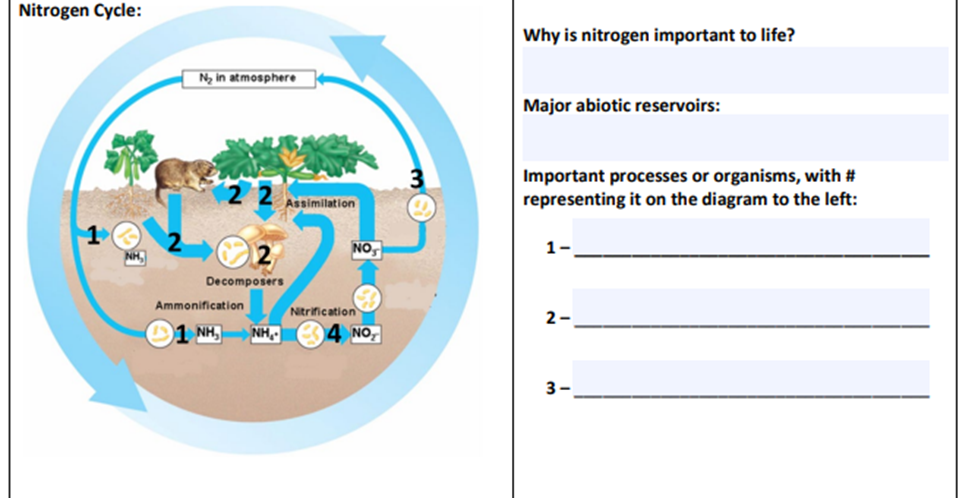 Solved PART 4: Ecosystems - Chemical Cycling (6 points) For | Chegg.com