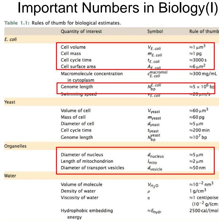 Solved We can estimate the required rate of replication, | Chegg.com