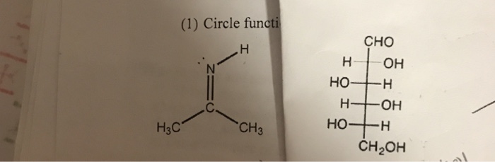 Solved Circle functional groups and write the name of the | Chegg.com