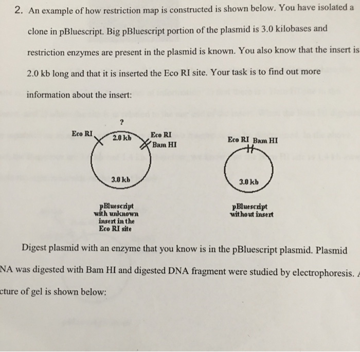 Solved 2. An example of how restriction map is constructed | Chegg.com