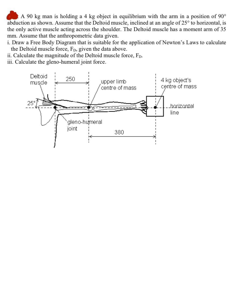 Solved A 90 kg man is holding a 4 kg object in equilibrium | Chegg.com