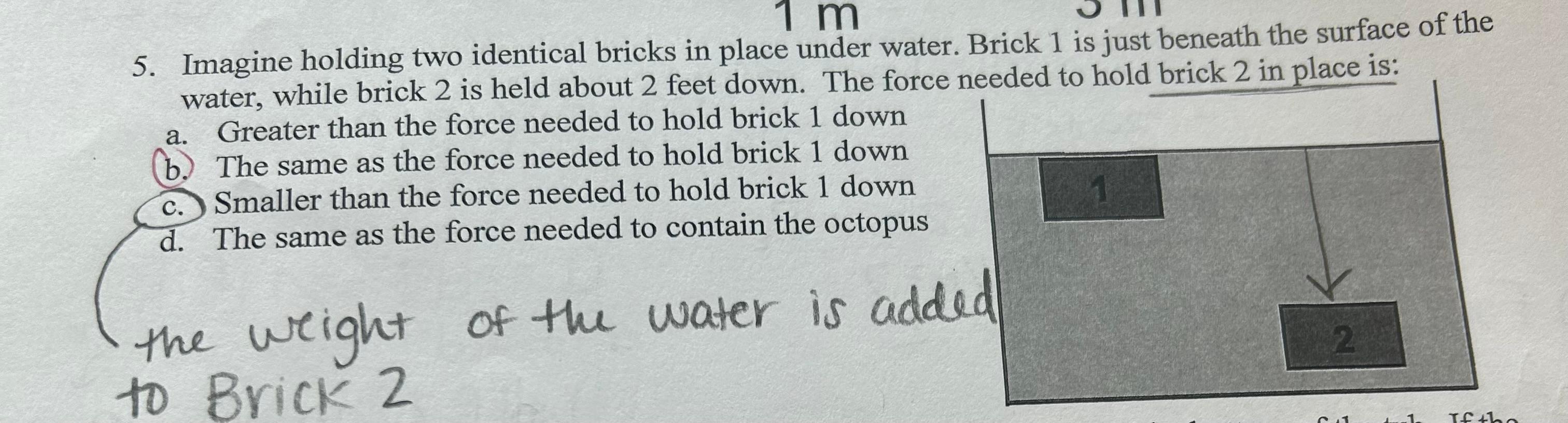 Solved 5. Imagine holding two identical bricks in place | Chegg.com