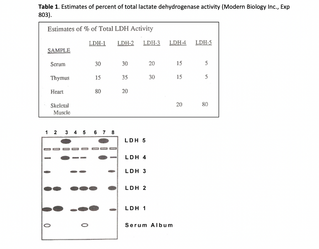 Table 1. Estimates of percent of total lactate | Chegg.com