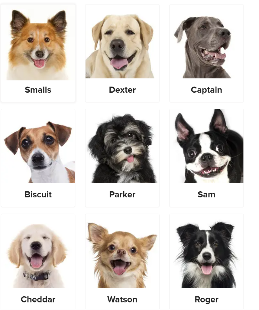 Solved FRESNGSTATE Smalls Dexter Captain Biscuit Parker | Chegg.com