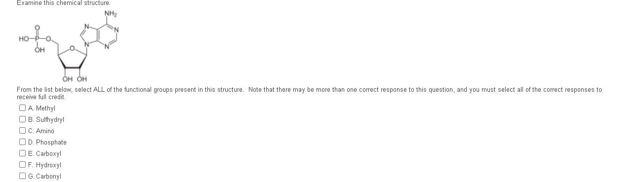 Solved Examine this chemical structure, NH2 HO-P-O OH OH OH | Chegg.com