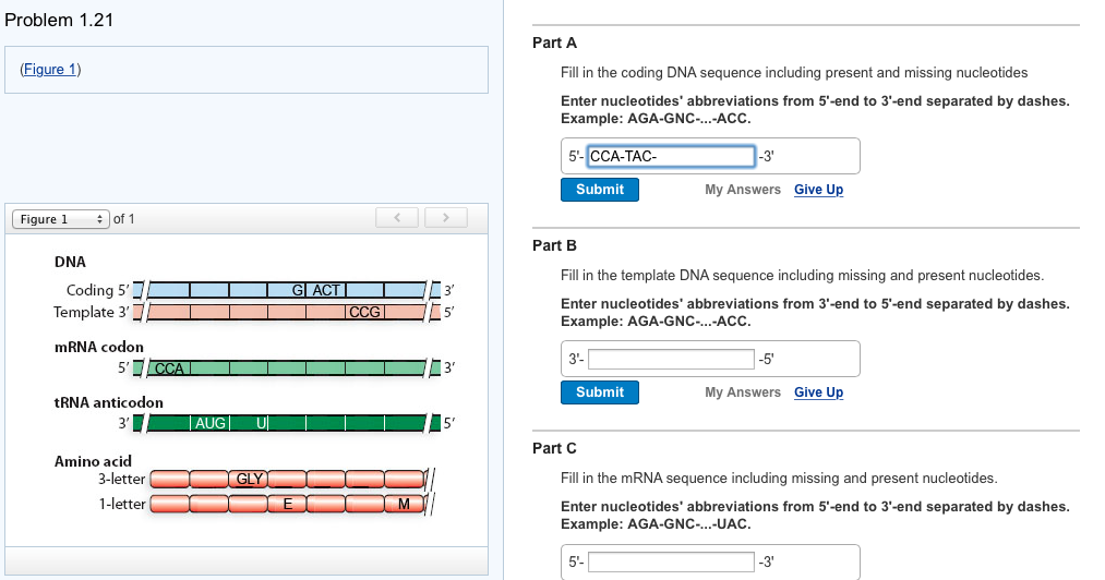 Solved Problem 1.21(Figure 1)of 1Part AFill in the coding | Chegg.com