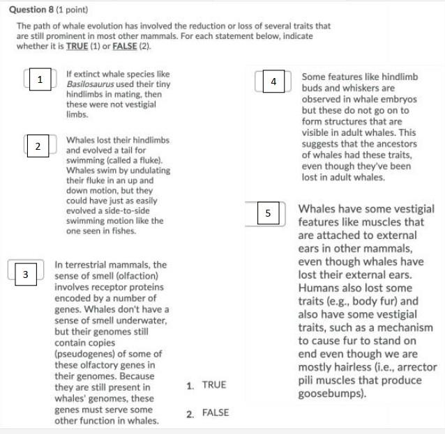Solved Question 8 (1 point) The path of whale evolution has | Chegg.com