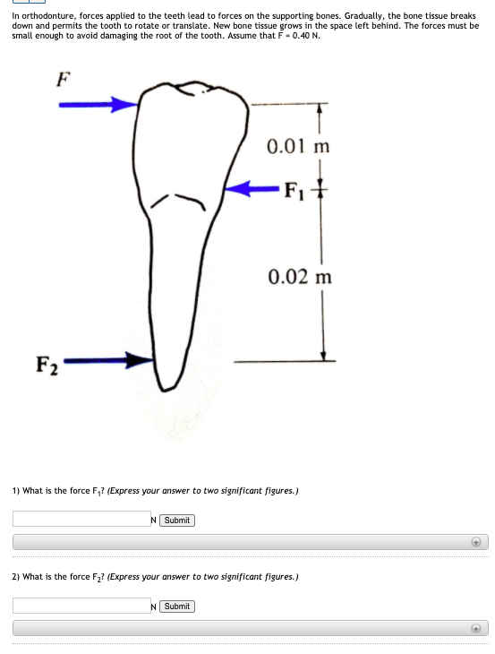 Solved In orthodonture, forces applied to the teeth lead to | Chegg.com