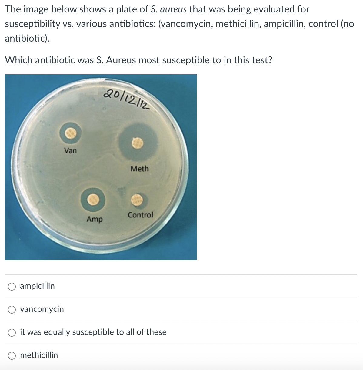 Solved The image below shows a plate of S. aureus that was | Chegg.com
