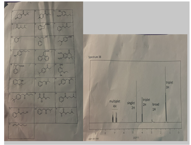 Solved Out of all the structures, which structure is the | Chegg.com