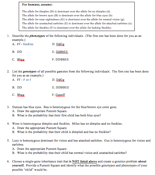 Solved For humans, assume: The allele for dimples (D) is | Chegg.com
