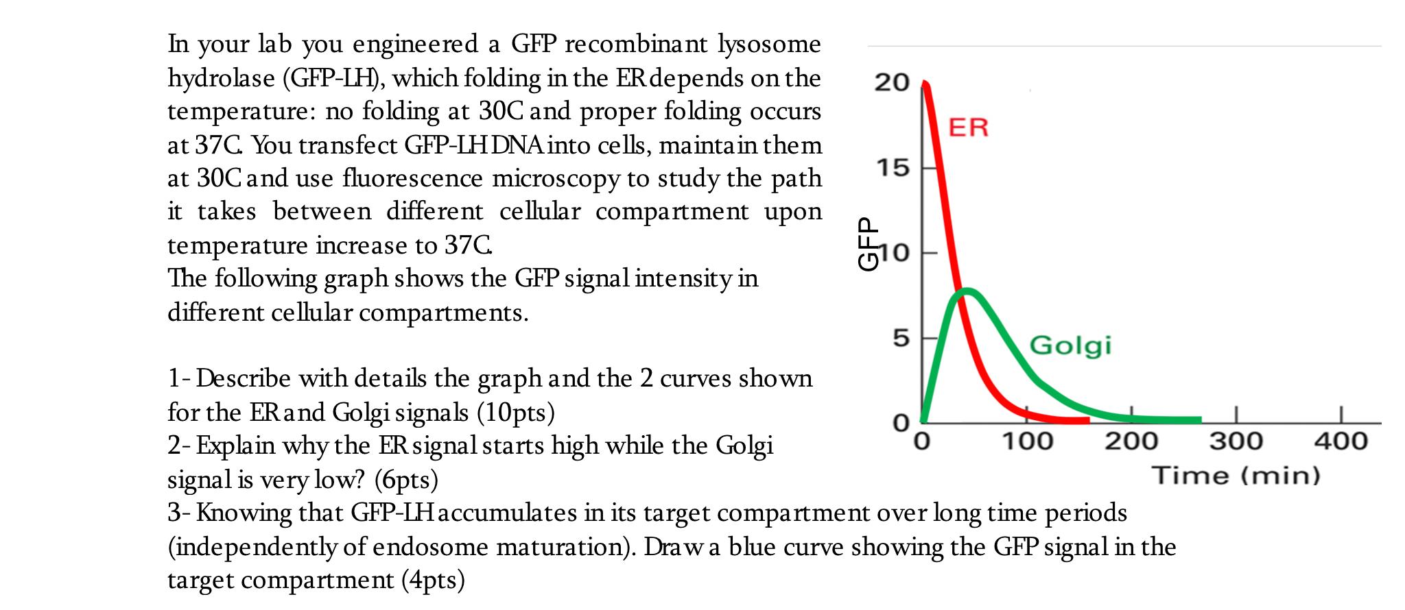 Solved GFP In your lab you engineered a GFP recombinant | Chegg.com